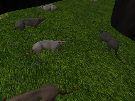 Second Life Marketplace - Rats running in circles