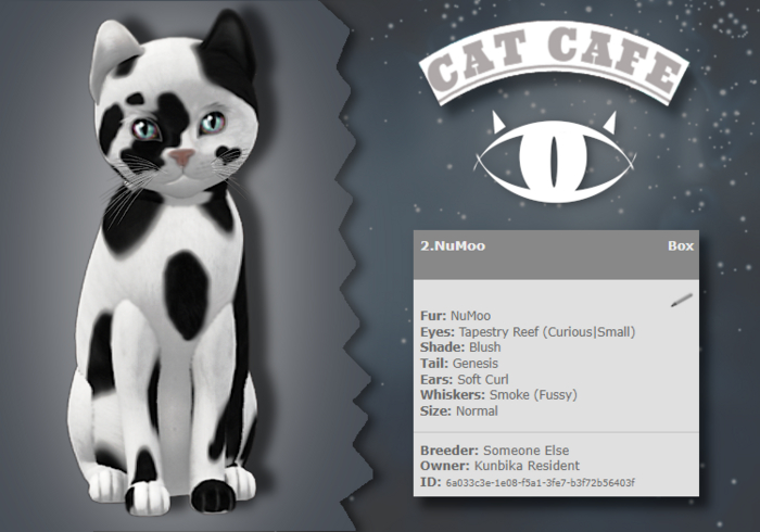 Second Life Marketplace - KittyCatS - NuMoo Kitten (Boy) \\ Ultra Rare ...