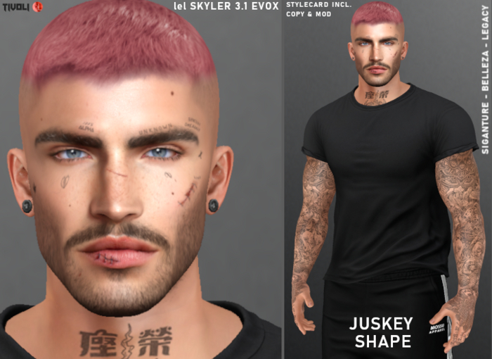 Second Life Marketplace - -Tivoli inc - Skyler shape for lelutka Skyler ...