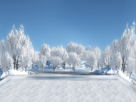 Second Life Marketplace - Snow Fairy Tale Skybox