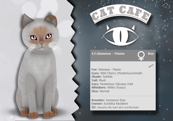 Second Life Marketplace - KittyCatS - Siamese - Flame Kitten (Girl)