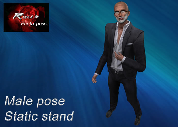Second Life Marketplace - *Rous Poses - Male stand