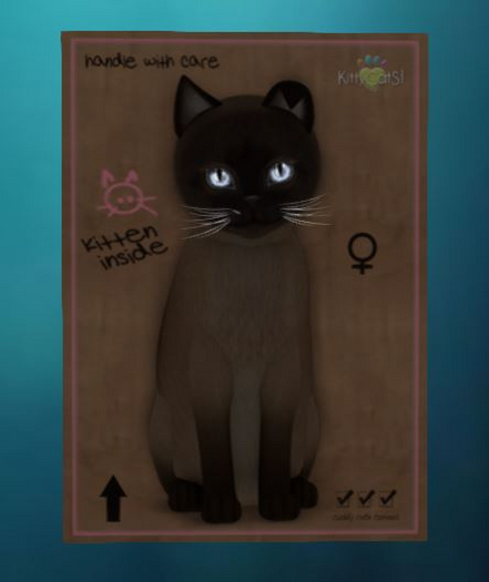 Second Life Marketplace - Chimera - Seal Point Mink - FlowerChild