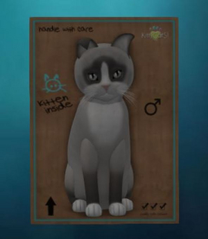 Second Life Marketplace - Snowshoe - Bluepoint