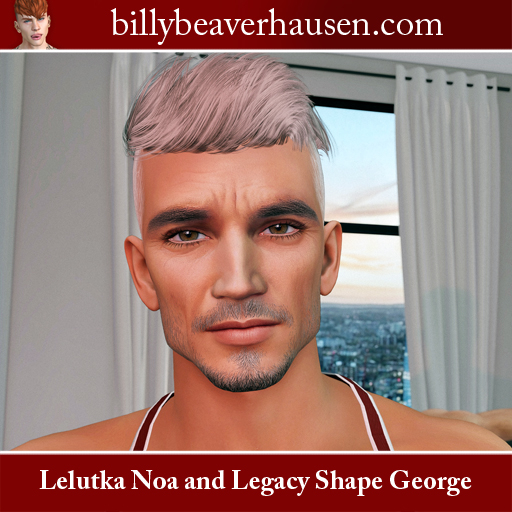 Second Life Marketplace - Lelutka Noa & Legacy Meshbody Shape George