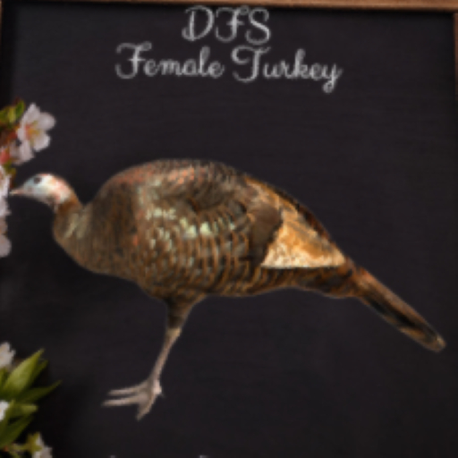 Second Life Marketplace - DFS Turkey Female