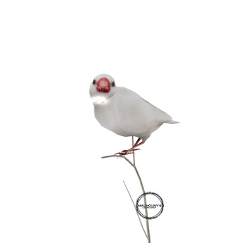 Second Life Marketplace - 4){anc} little bird / bird (tall twig) 2Li white