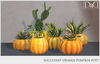Second Life Marketplace - DaD - Succulent Orange Pumpkin Pots Set