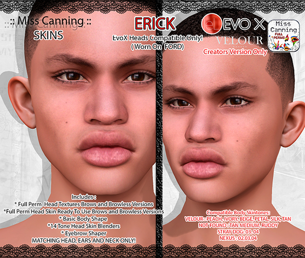 Second Life Marketplace - *:: Miss Canning :: SKINS [ ERICK ] Lelutka ...