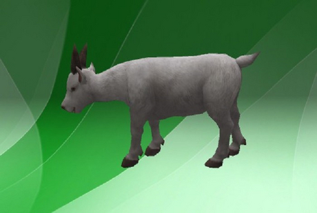 Second Life Marketplace - DFS Goat Barbari - Female