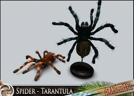 Second Life Marketplace - HeadHunter's Island - Tarantula Spider ...