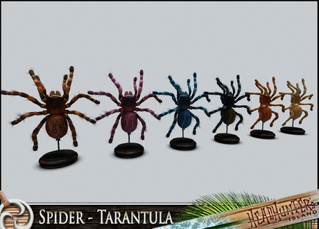 Second Life Marketplace - HeadHunter's Island - Tarantula Spider ...