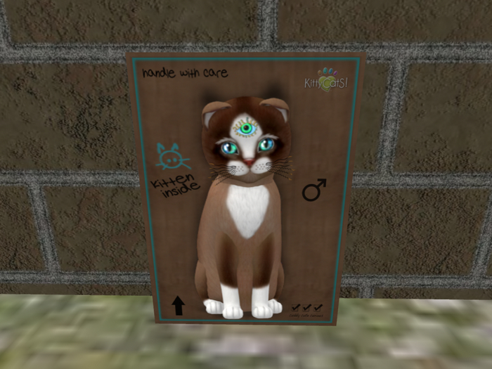 Second Life Marketplace - KittyCatS Box - New Born Kitten