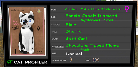 Second Life Marketplace - Chateau Cat - Black & White No. 1 Girl! 9T ...
