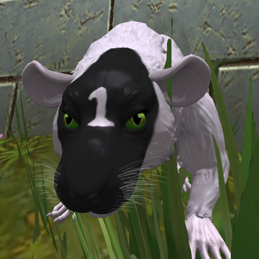 Second Life Marketplace - Dire Rat Max and Petey Memorial Markings