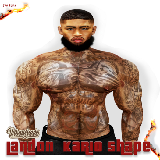 Second Life Marketplace - Landon Premade Kario shape