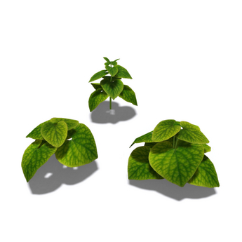 Second Life Marketplace - T-Spot Mesh - False Forget-me-not Autumn - FP ...
