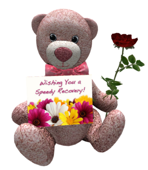 Second Life Marketplace - Wishing You a Speedy Recovery Mesh Bear with ...