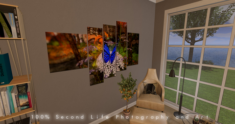 Second Life Marketplace - K.b. Free Butterfly Canvas Second Life Photo