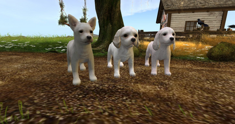 Second Life Marketplace - dogs