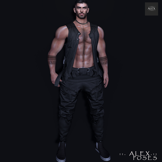Second Life Marketplace - ::. ALEX.::WIL Male BENTO Pose v.25