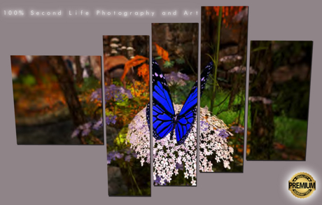 Second Life Marketplace - K.b. Free Butterfly Canvas Second Life Photo