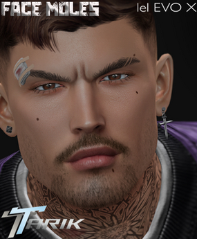 Second Life Marketplace - -- T. TARIK ---- T. T -- Moles Evo X 01 BOM ...