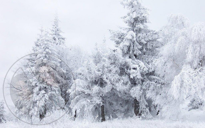 Second Life Marketplace - 713 - Winter - Snow - Frozen Snowy Trees ...