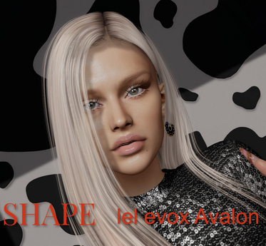 Second Life Marketplace - TWIG - Shape Bento HARIZMA HEAD / Lelutka ...