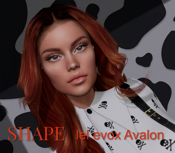 Second Life Marketplace - TWIG - Shape Bento ASFARI HEAD / Lelutka EvoX ...