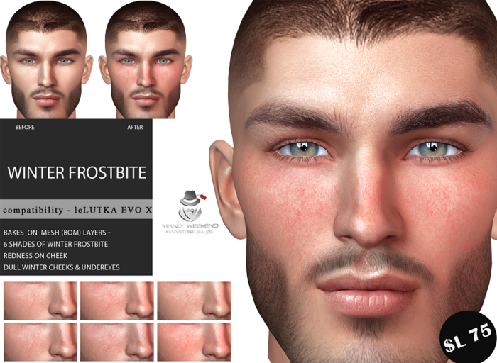 Second Life Marketplace - [PAIX] Winter Frostbite - leLUTKA EVO X -7 ...