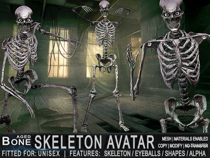 Second Life Marketplace - ZED Unisex Skeleton Avatar - Aged Bone