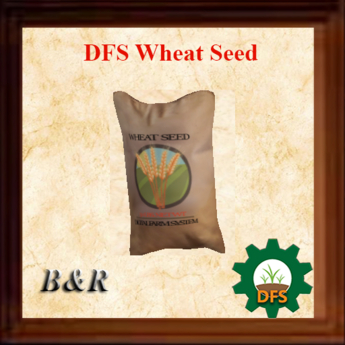 Second Life Marketplace - DFS Wheat Seed V2.2 - real deal - Bag of ...