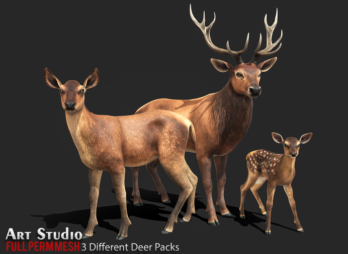 Second Life Marketplace - Art Studio.FULL PERM \\ 3 Different Deer Packs