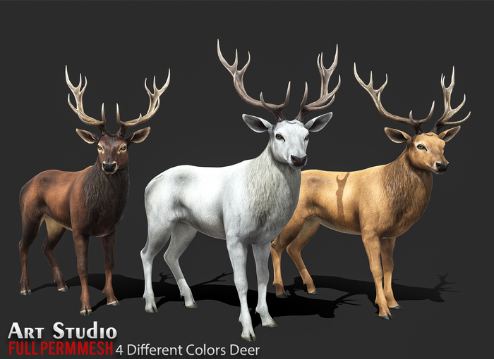 Second Life Marketplace - Art Studio.FULL PERM \\ 4 Different Colors Deer