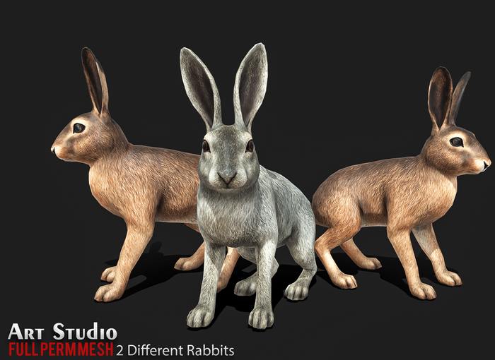 Second Life Marketplace - Art Studio.FULL PERM \\ 2 Different Rabbits