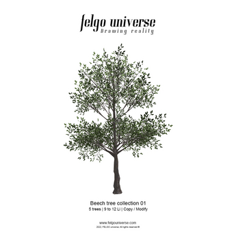 Second Life Marketplace - FELGO Universe // Beech tree 01