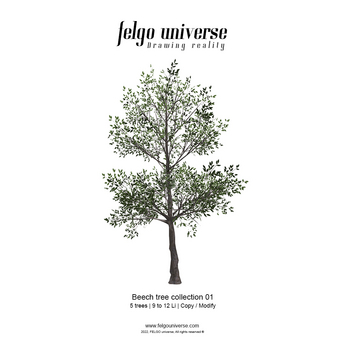 Second Life Marketplace - FELGO Universe // Beech tree 01