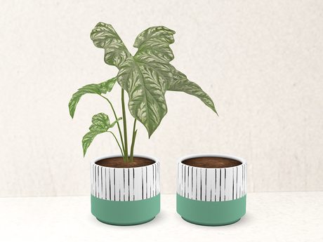 Second Life Marketplace - Planted. Aqua Stripe Pot + Plant