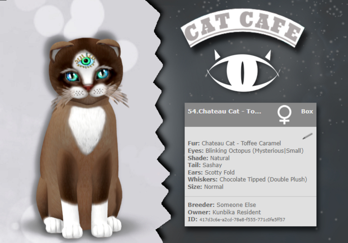 Second Life Marketplace - KittyCatS - Chateau Cat - Toffee Caramel ...