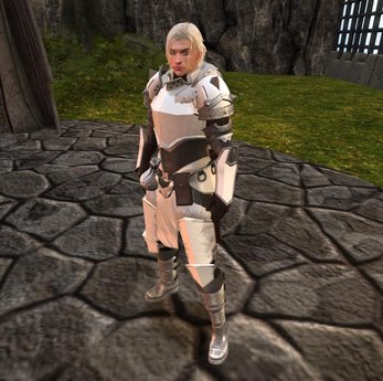 Second Life Marketplace - [Echelon] // Vagrant Guardian Armor