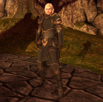 Second Life Marketplace - [Echelon] // Vagrant Guardian Armor