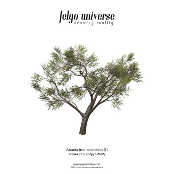 Second Life Marketplace - FELGO Universe // Acacia tree 01