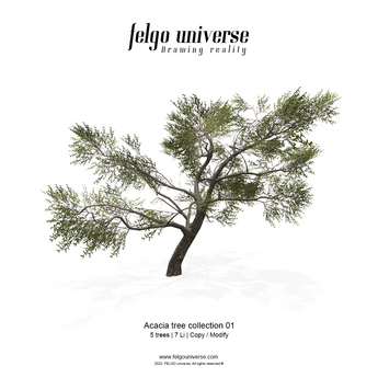 Second Life Marketplace - FELGO Universe // Acacia tree 01