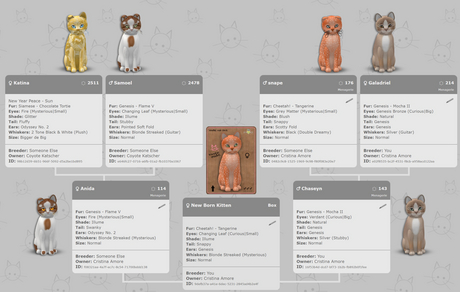 Second Life Marketplace - KITTYCATS- Cheetah! Tangerine ♀