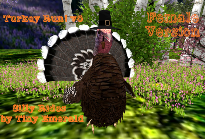 Second Life Marketplace - Turkey Run! v5 [2P] Female Version (BOXED)