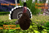 Second Life Marketplace - Turkey Run! v5 [2P] Female Version (BOXED)