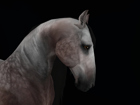 Second Life Marketplace - NHC~* Bay going Grey(BgG)