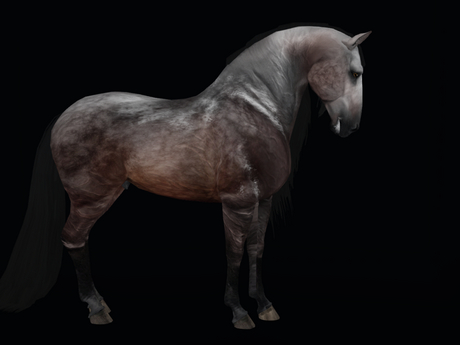 Second Life Marketplace - NHC~* Bay going Grey(BgG)