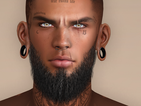 Second Life Marketplace - Adan Shape Lelutka Noa 3.1 Evo X - Kario ...